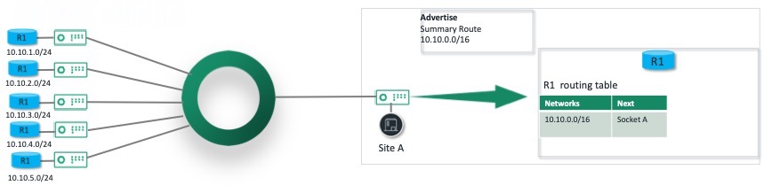 Working with BGP Summary Routes – Cato Learning Center