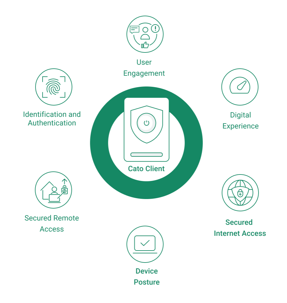 Entendiendo las Capacidades del Cato Client – Base de Conocimientos